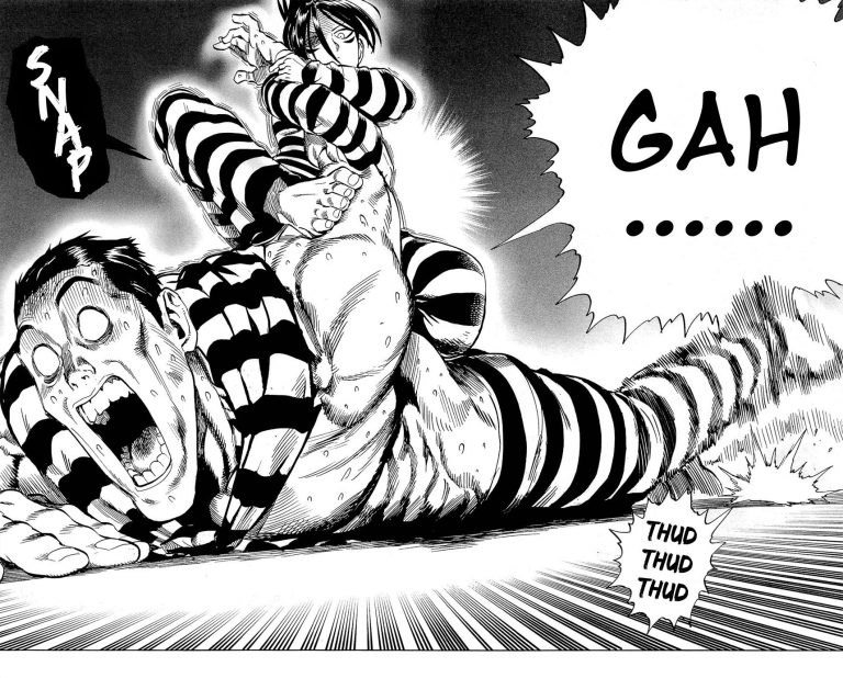 Read One Punch Man Manga Online Ch 24.5 - One Punch Man