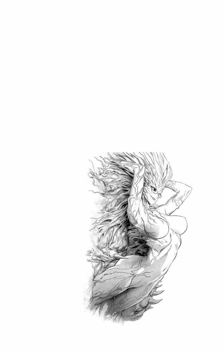 Read One Punch Man Manga Online Ch 187.5