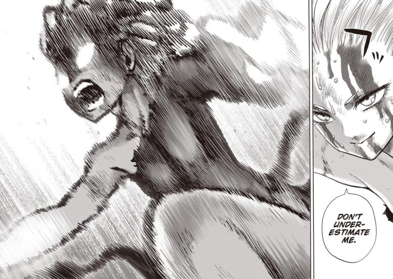 Read One Punch Man Manga Online Ch 137